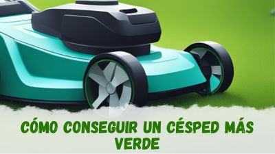 Consejos Para Conseguir Un Césped Más Verde